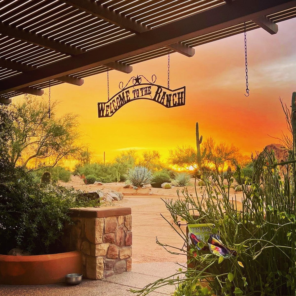 Your Path to Land Ownership: The Soy de Rancho Experience — soyderancho.com